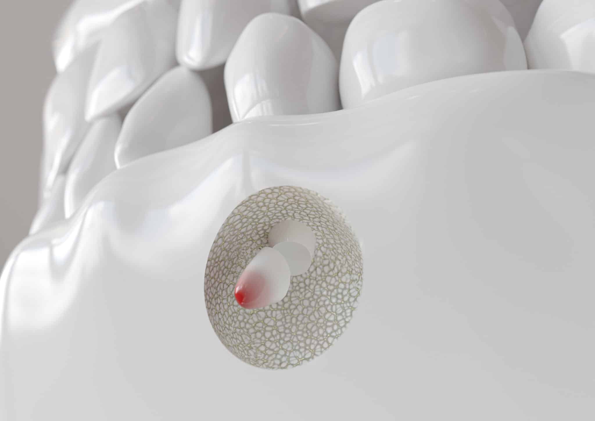 Avoiding Tooth Loss With Root Canal Surgery | El Paso, TX